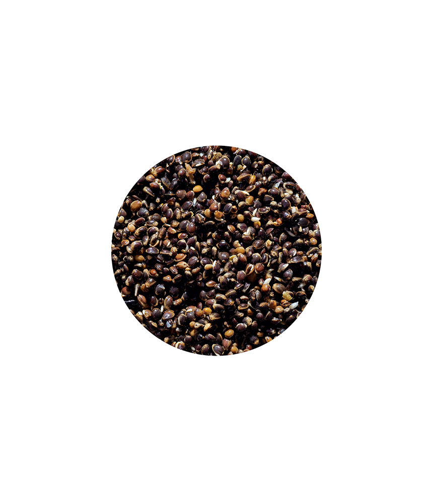 Boiled seeds and Hemp mixture Genlog HEMP NATURAL 1kg